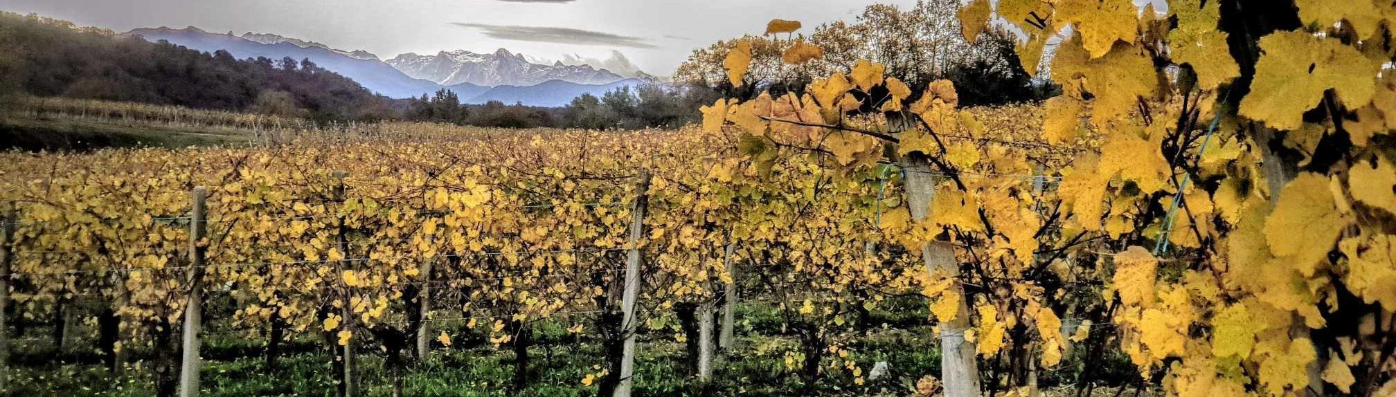 Monein - site officiel de la ville - Béarn Pyrénées Atlantiques 64